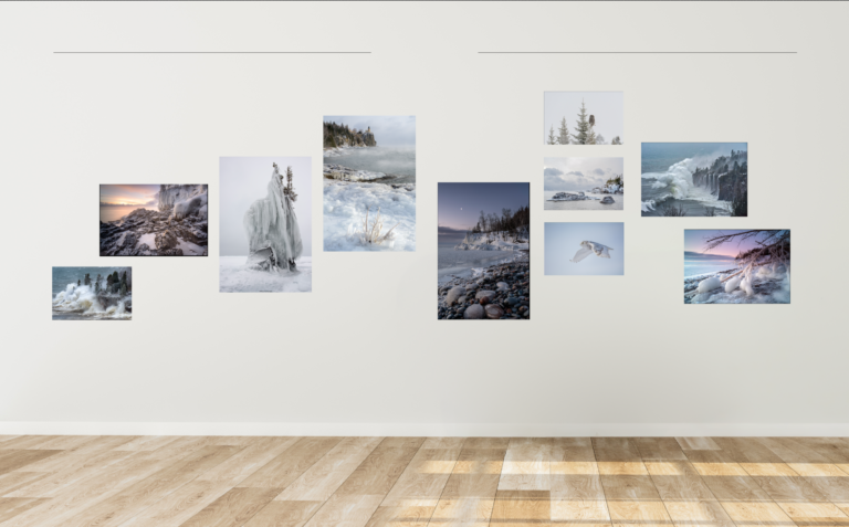 Winter's Embrace Exhibit - Jill Beim Nature & Conservation Photography